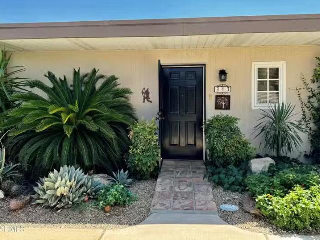 4800 N 68th Street N #313, Scottsdale, AZ 85251 MLS 6748502