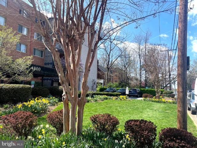 4800 Chevy Chase Drive # 508