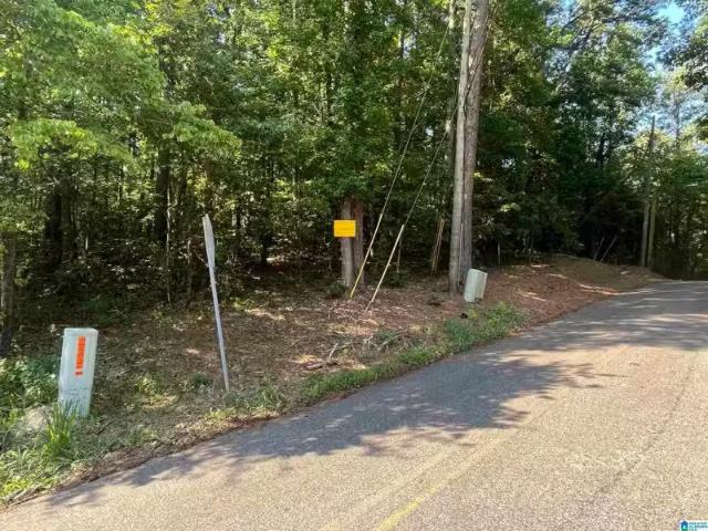 4800 WASHINGTON RD LOT 11, BESSEMER, AL 35023 Vacant Land For.