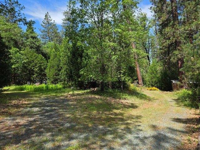 4801 Blue Mountain Rd, Wilseyville, CA 95257