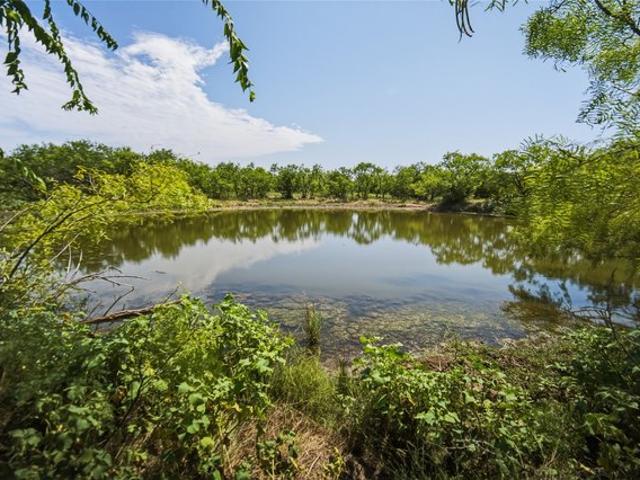 480 Acres Tucker Rd, Perrin, TX 76486