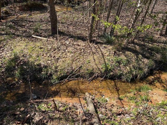 480 Bull Hollow Loop, Savannah, TN 38372 | MLS #10218