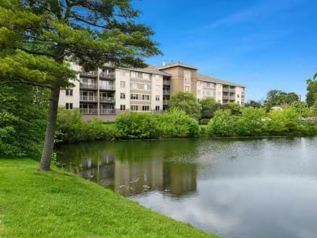 480 E MONTROSE AVE APT 409, WOOD DALE, IL 60191 Condo/Townhome.