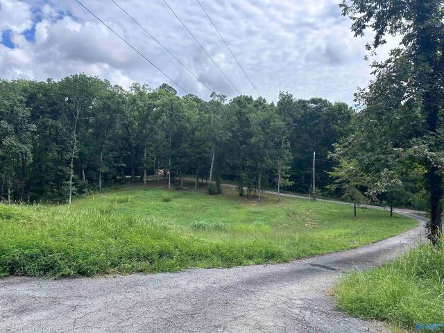 480 Mountain Oak Trail