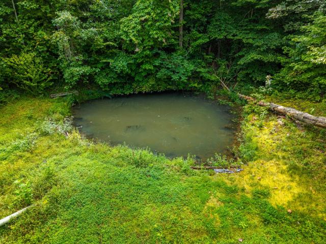 480 Phillips Hollow Road