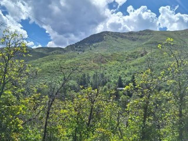 4810 E Badger Hollow Ln, Salt Lake City, UT 84108