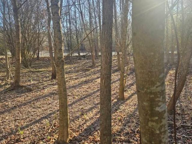 481 Lebanon Church Road