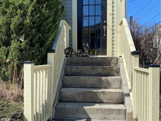 481 Pine Street 2
