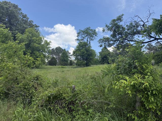 481 Rolin Hollow Rd
