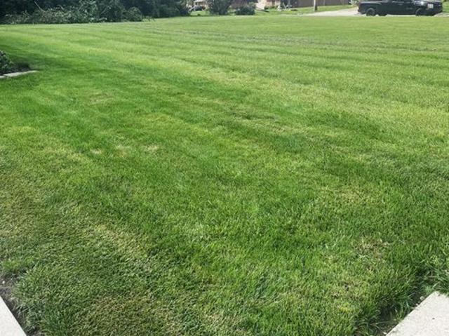 481 Terrace Dr, Marysville, OH 43040