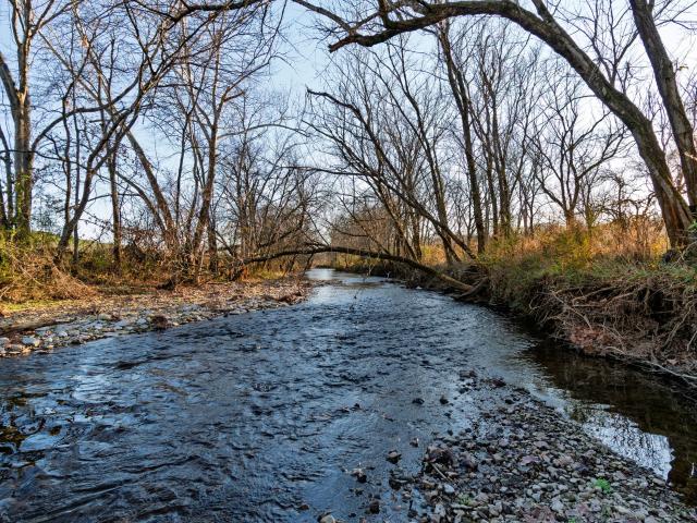 4824 Leipers Creek Rd, Williamsport, TN 38487 | MLS #3060 | Compass