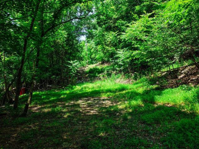 4825 Gann Store Road