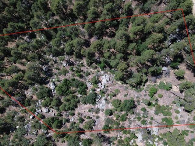 4825 W Vulture Bend Dr, Prescott, AZ 86303