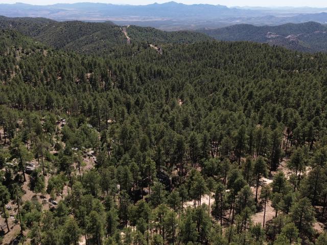 4825 W Vulture Bend Drive #