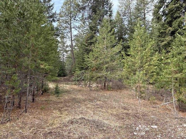 4828 Eagle Ridge Way, Springdale, WA 99173