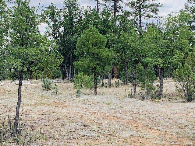 4829 Bald Eagle Way, Happy Jack, AZ 86024