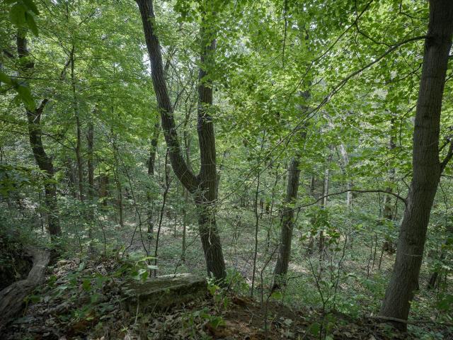 4820 Kopper Pond Rd