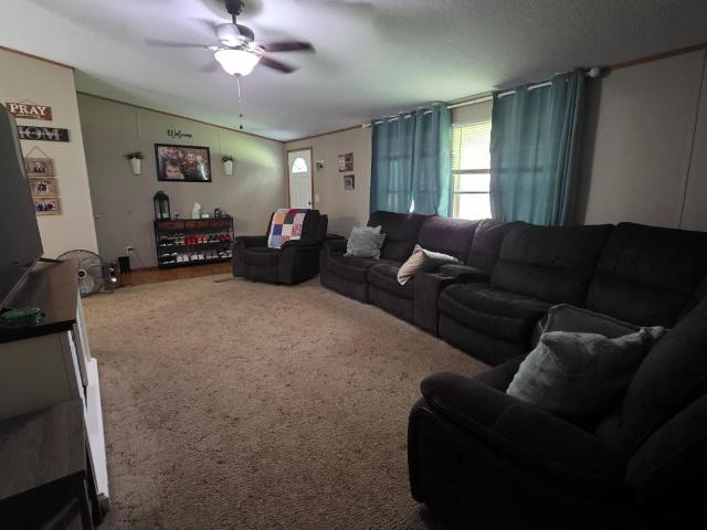 482 Greene 702 Road