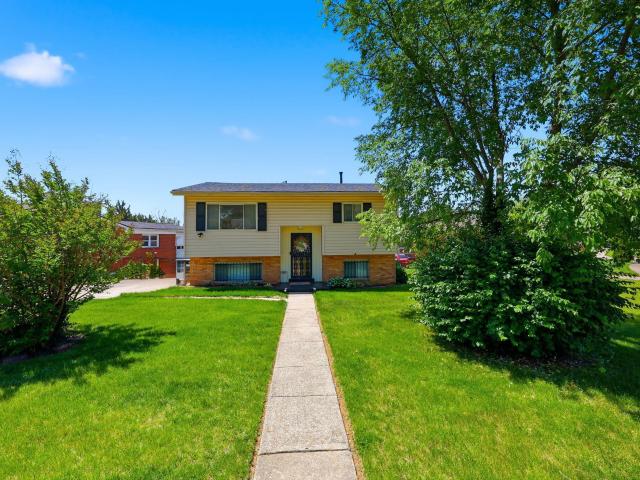 482 Dominican Drive
