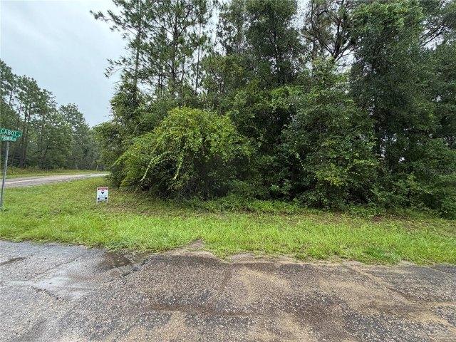 482 W Cabot Ln, Citrus Springs, FL 34434