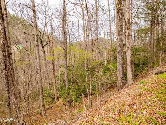 483 Chetola Trail