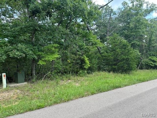 483 Buzzard Rock Rd, Farmington, MO 63640