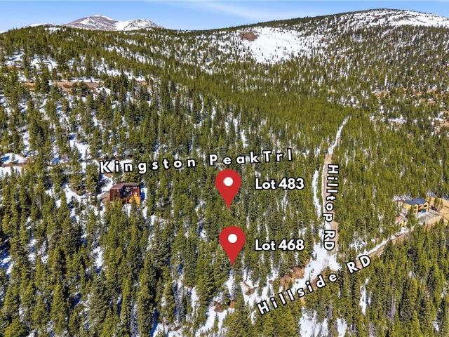 483 Hilltop Rd, Idaho Springs, CO 80452 | MLS #5030
