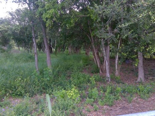 483 Oak Knoll Dr Lot 98, San Antonio, TX 78228