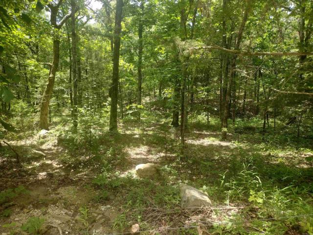 483 Mcintire ln
