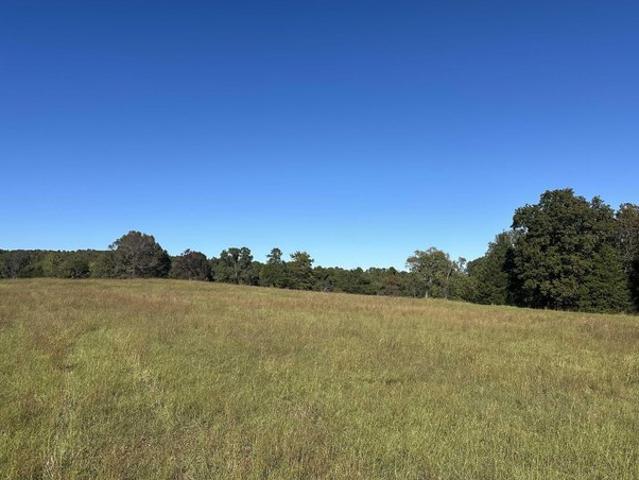 483 Tanner Rd, Searcy, AR 72143