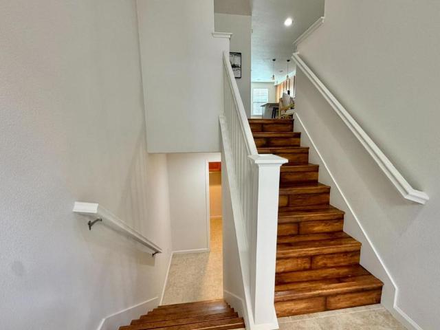 483 Tristania Terrace