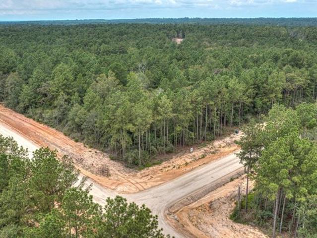 4848 Red Coyote Ln, Montgomery, TX 77316
