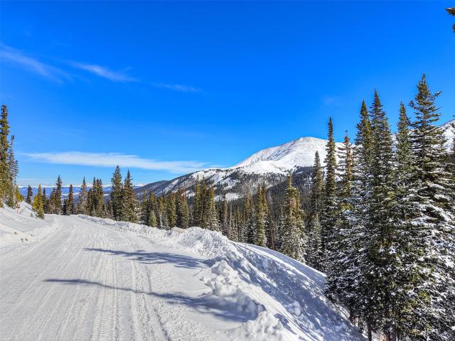 484 Carroll Ln, Breckenridge, CO 80424 | MLS #S1068 | Compass