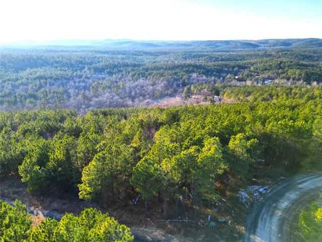 484 Lukfata Fork Trail