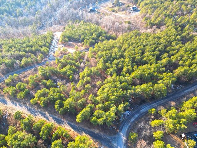 484 Lukfata Fork Trail