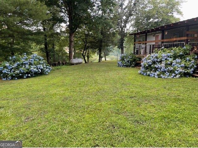 4856 Town Creek Rd, Cleveland, GA 30528