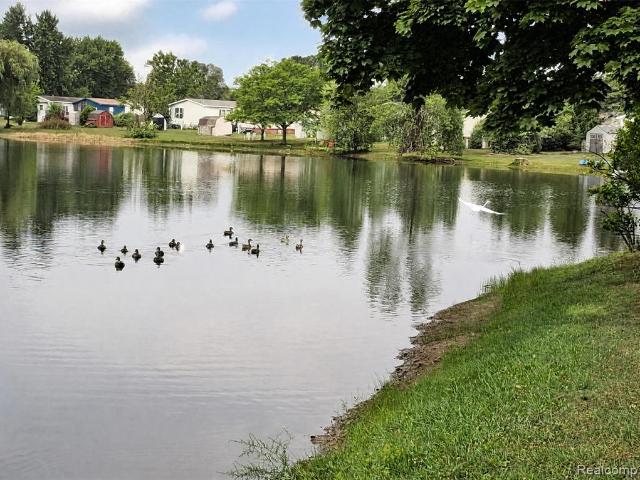 48582 Lakeview