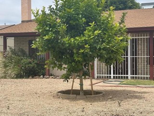 4850 N 63rd Ln, Phoenix, AZ 85033