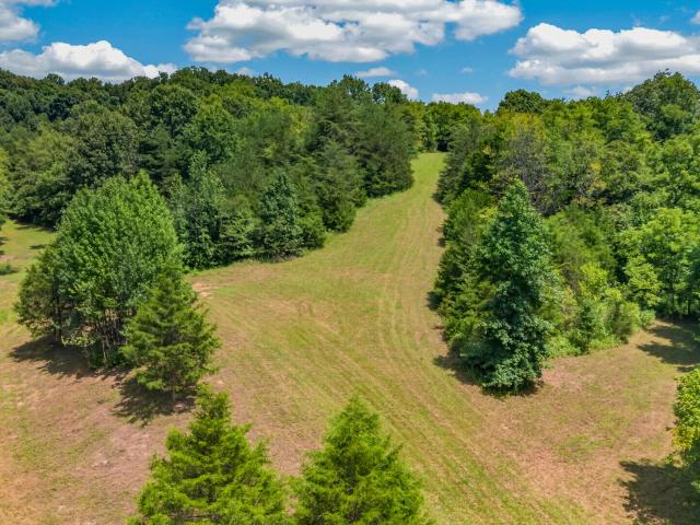 4850 Afton Rd