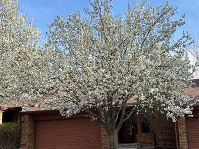 4851 Evening Sun Ln, Colorado Springs, CO 80917