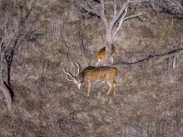 485 Fulton Ranch Rd, Stonewall, TX 78671 | MLS #96615 | Compass