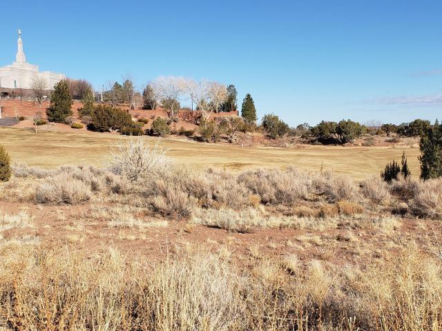 485 Pioneer Trail
