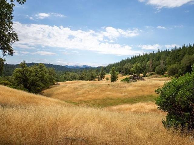 48600 Highway 101, Laytonville, CA 95454