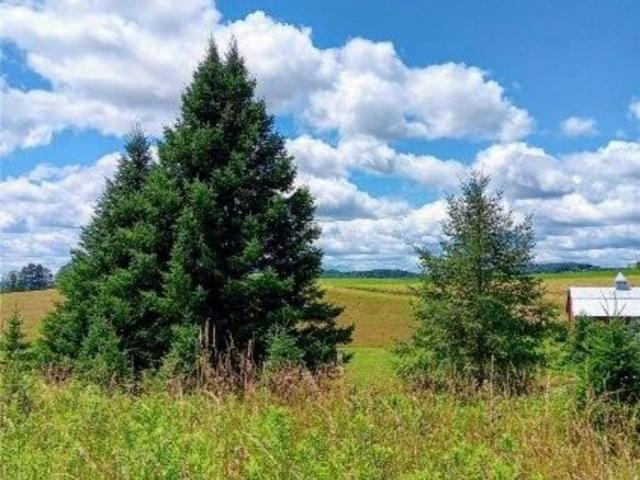 4861 Swiss Hill, Jeffersonville, NY 12748 | MLS #H6336