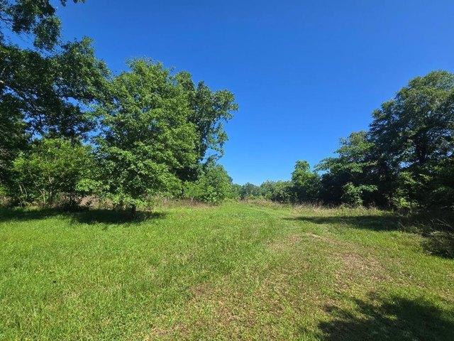486 County Road 2120, Burkeville, TX 75932