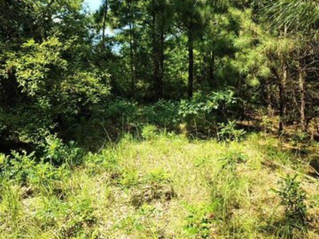 486 Creech Johnson Rd, Zebulon, NC 27597
