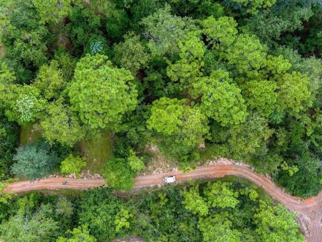 4874 Seely Rd, Molino, FL 32577