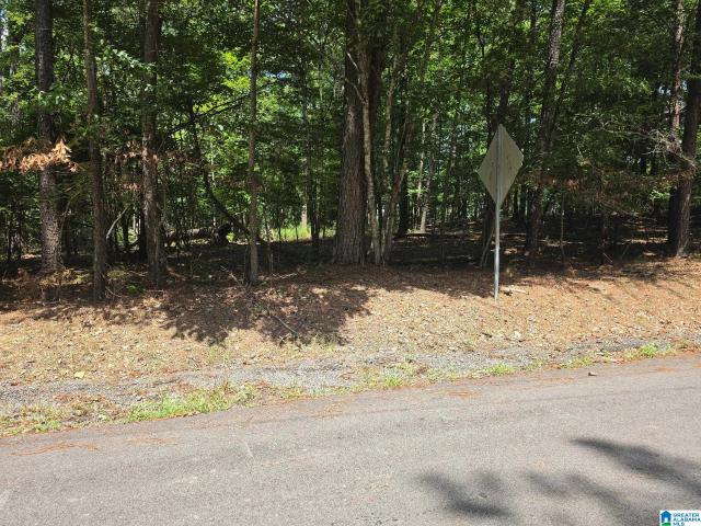 4875 War Eagle Drive # acreage