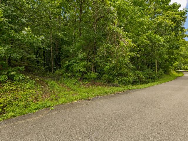 4876 Louise Creek Rd