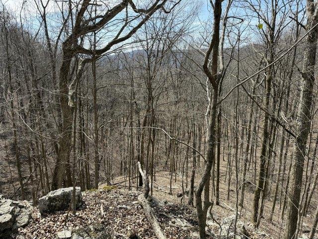 4872 Deer Run Rd, Altamont, TN 37301